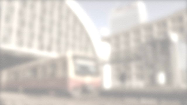 What is optic nerves and why is it so essential to our eyesight?