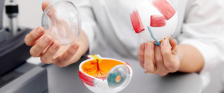 What is Retinitis Pigmentosa and it symptoms? Can it be cured or prevented?